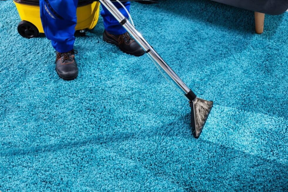 Rug Stain Removal Made Easy | Follow Our Step-by-Step Guide